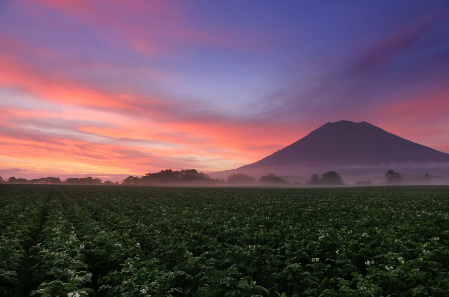 4 reasons that make Niseko’s summer so special | Niseko United