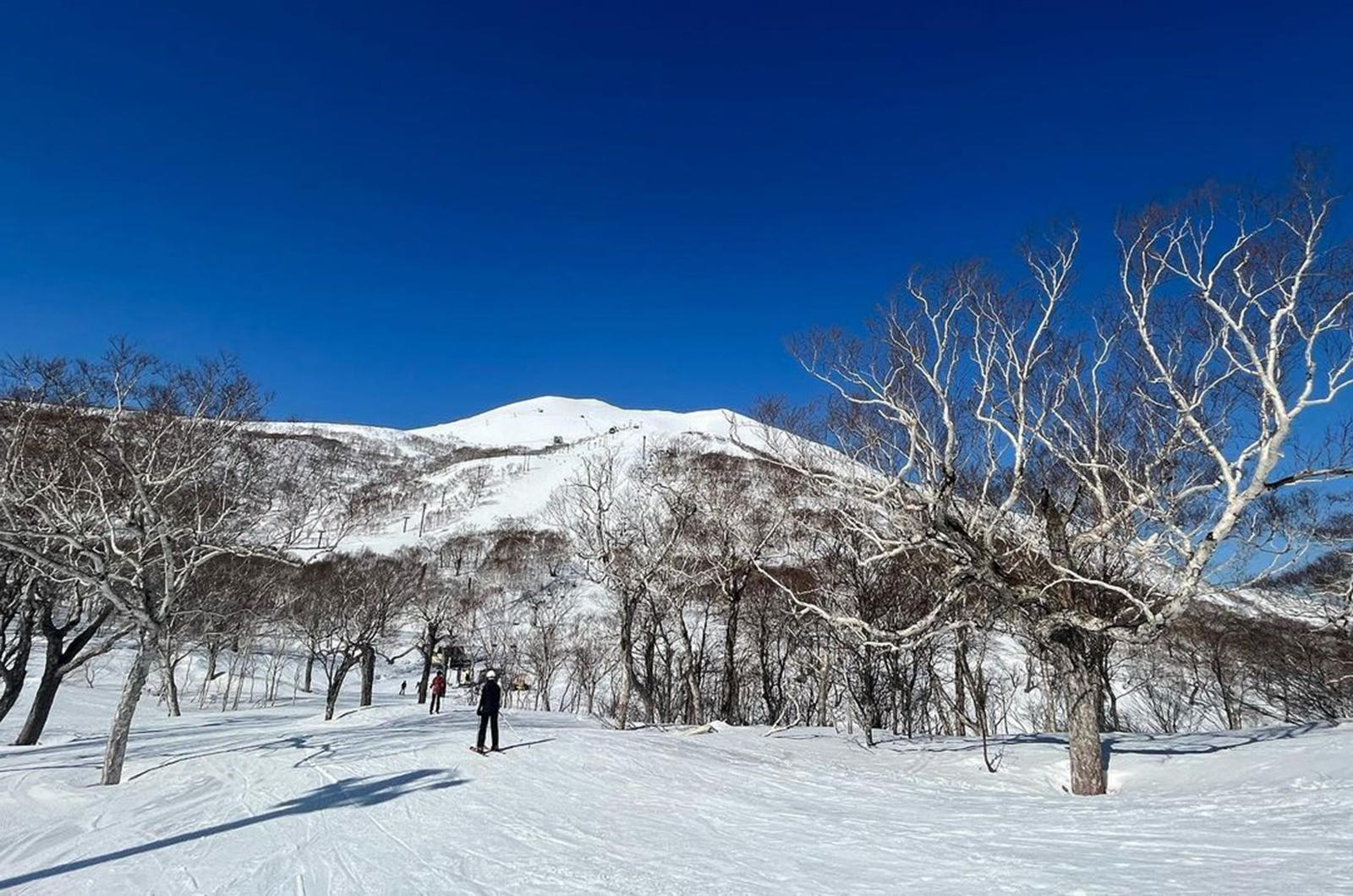 Niseko Golden Week Adventure | Niseko United