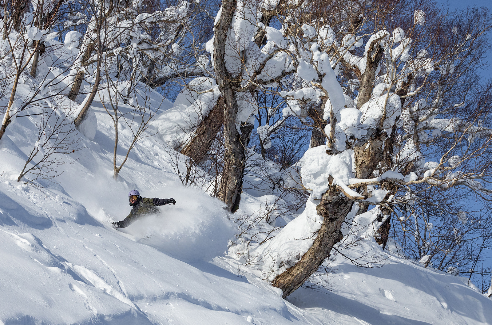 Thank you! Niseko winter 2022/23 Recap | Niseko United