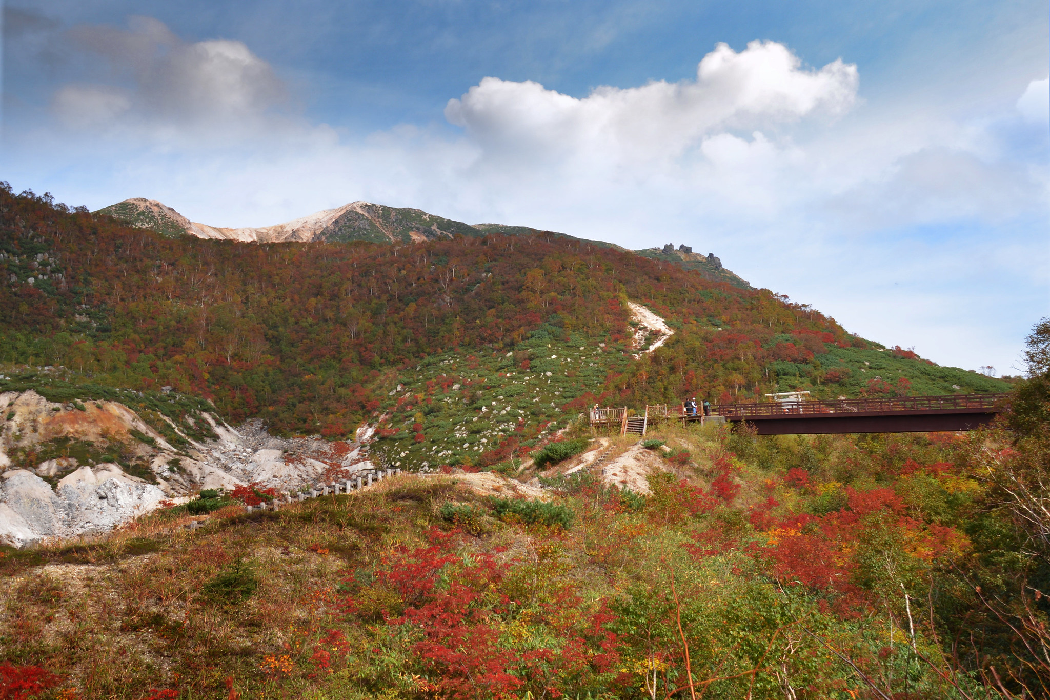 8 Places and Times to View Autumn Foliage around Niseko | Niseko United