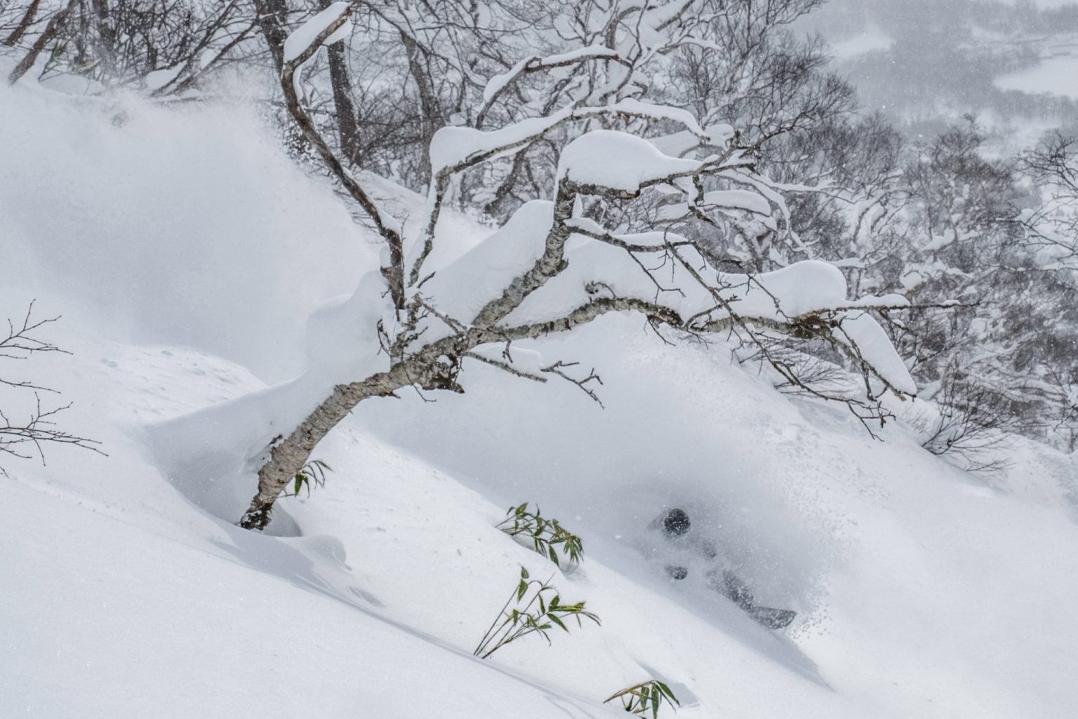 Almost One Month Until Niseko United Opens – This Is What To Expect | Niseko United