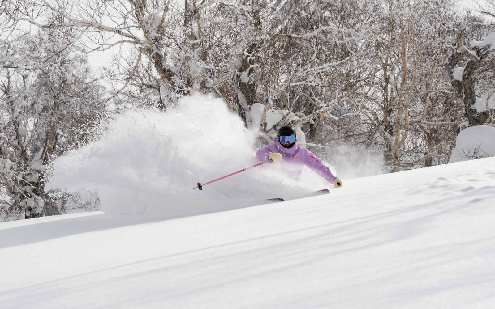 How Much Did It Snow In Niseko This Season? | Niseko United