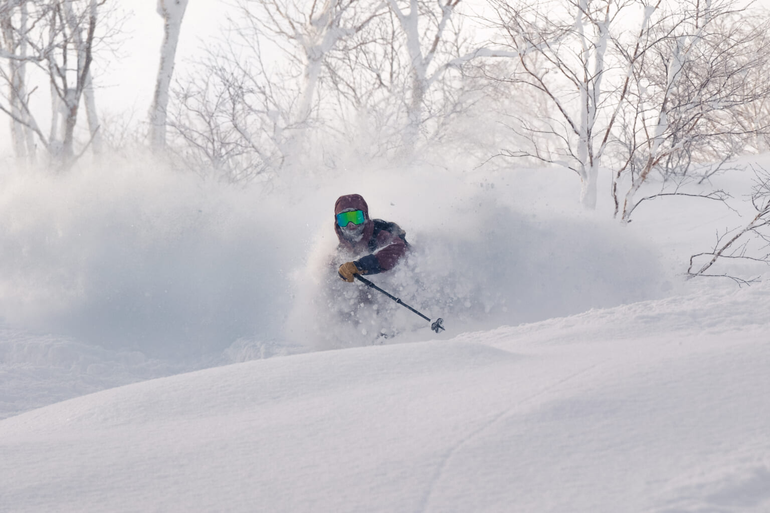How Much Did It Snow In Niseko This Season? | Niseko United