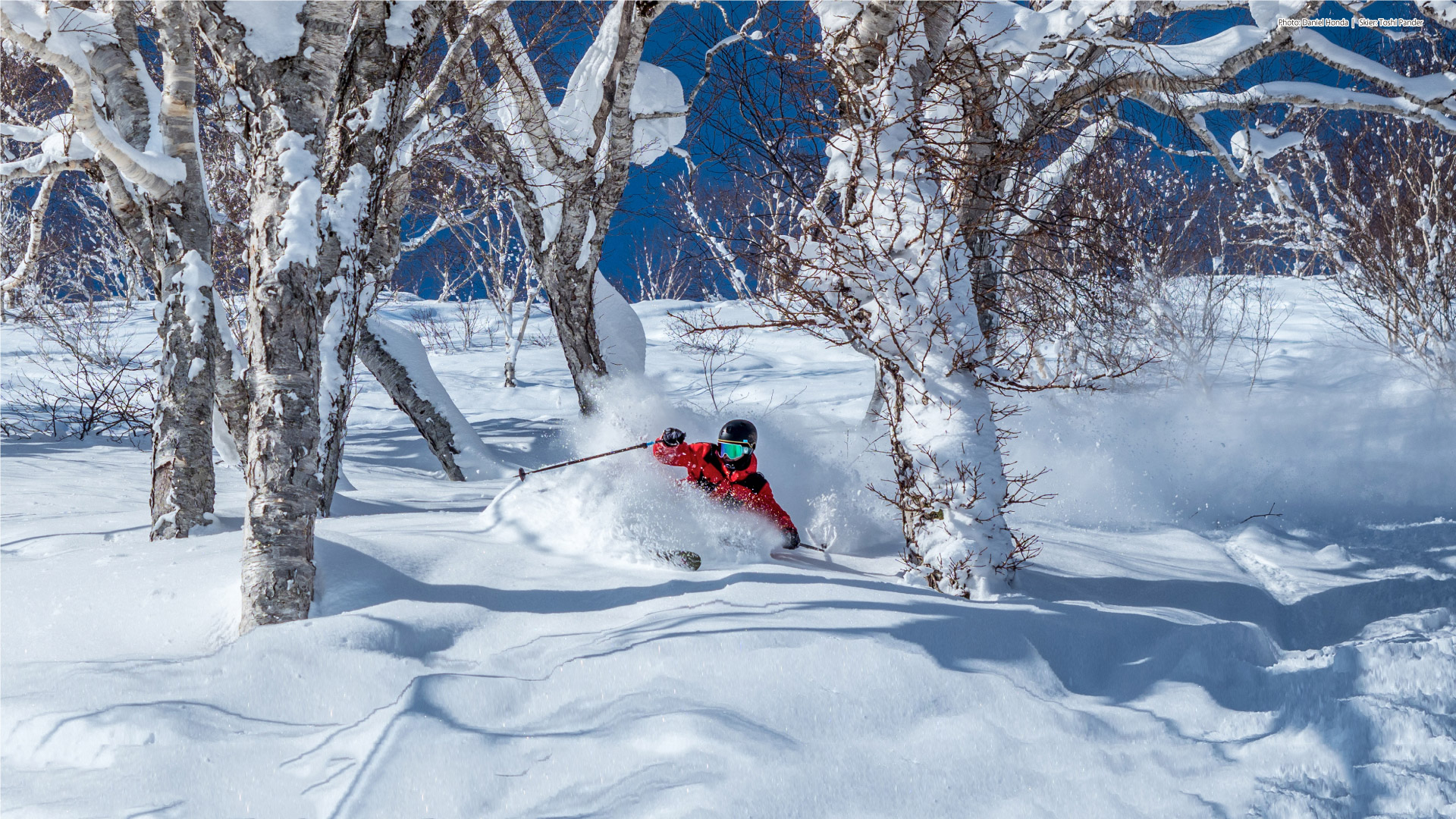 ニセコユナイテッド